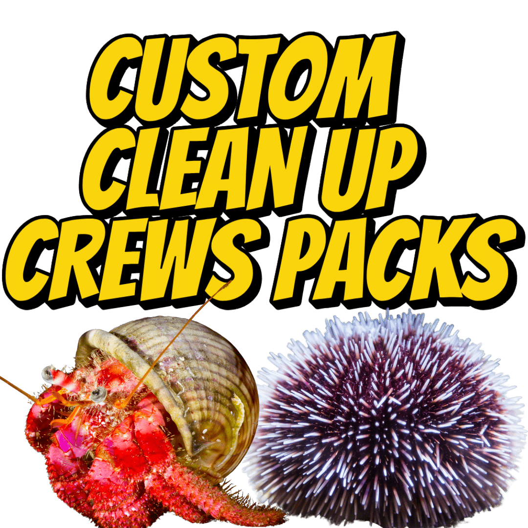 Marine Invertebrates - Harry's Marine Life