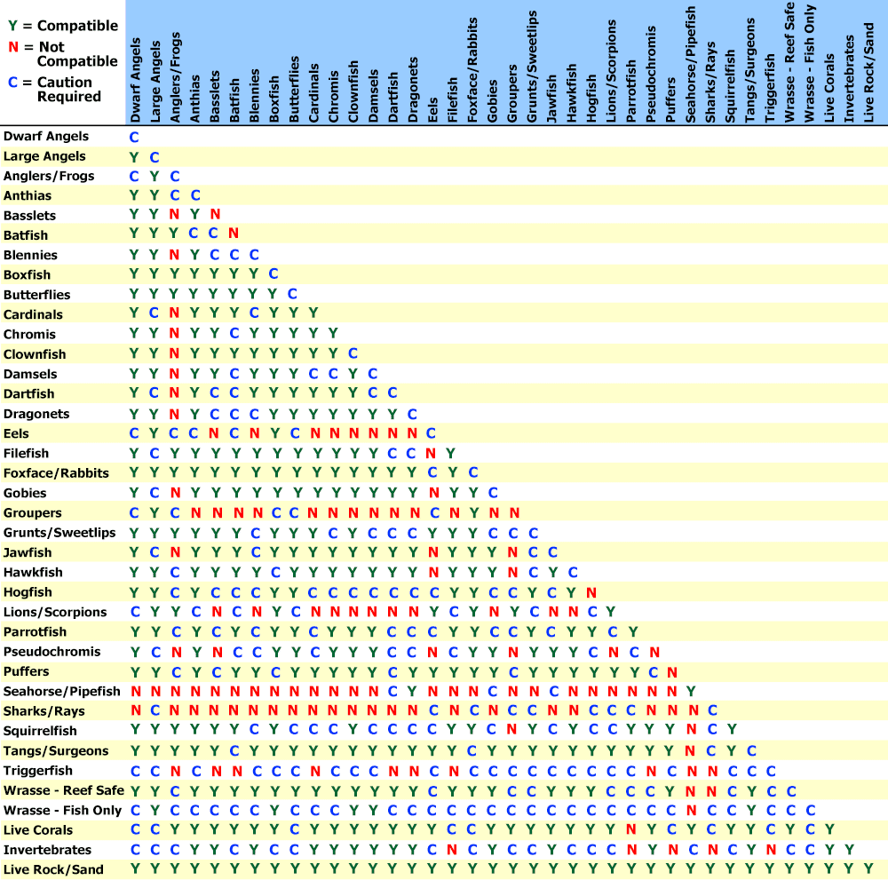View Chart - Your go-to for top-quality marine life! Specializing in ...